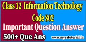 CBSE Class 12 Information Technology Code 802 Chapter Wise Question Bank With Answer Book Order ...